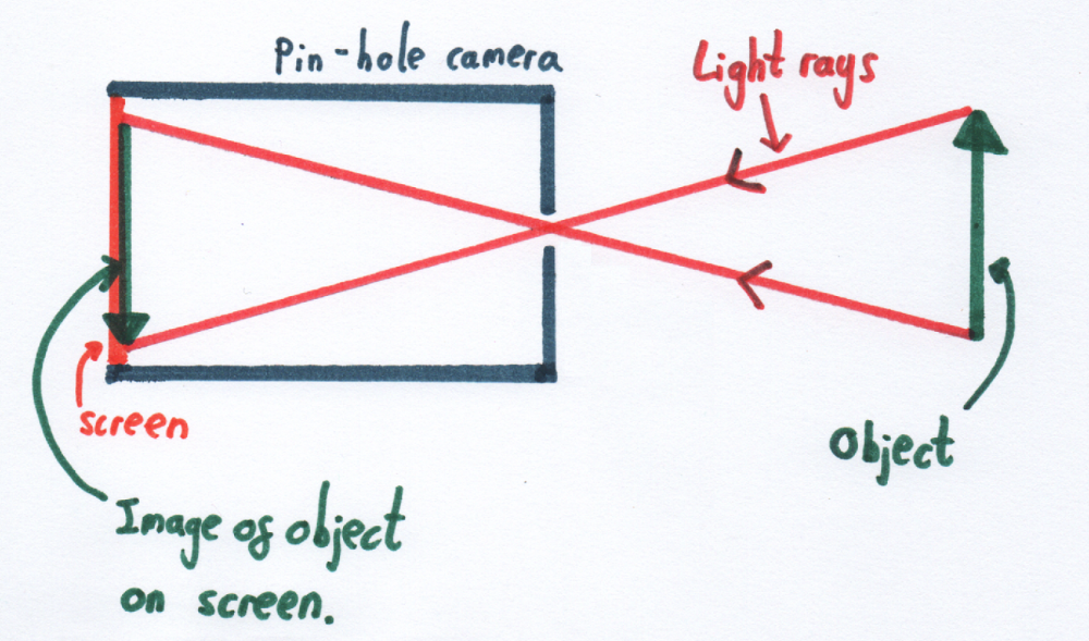 The Image On A Pin hole Camera Diagram Must Be Drawn On The Screen The Image On A Pin hole Camera Diagram Must Be Drawn On The Screen